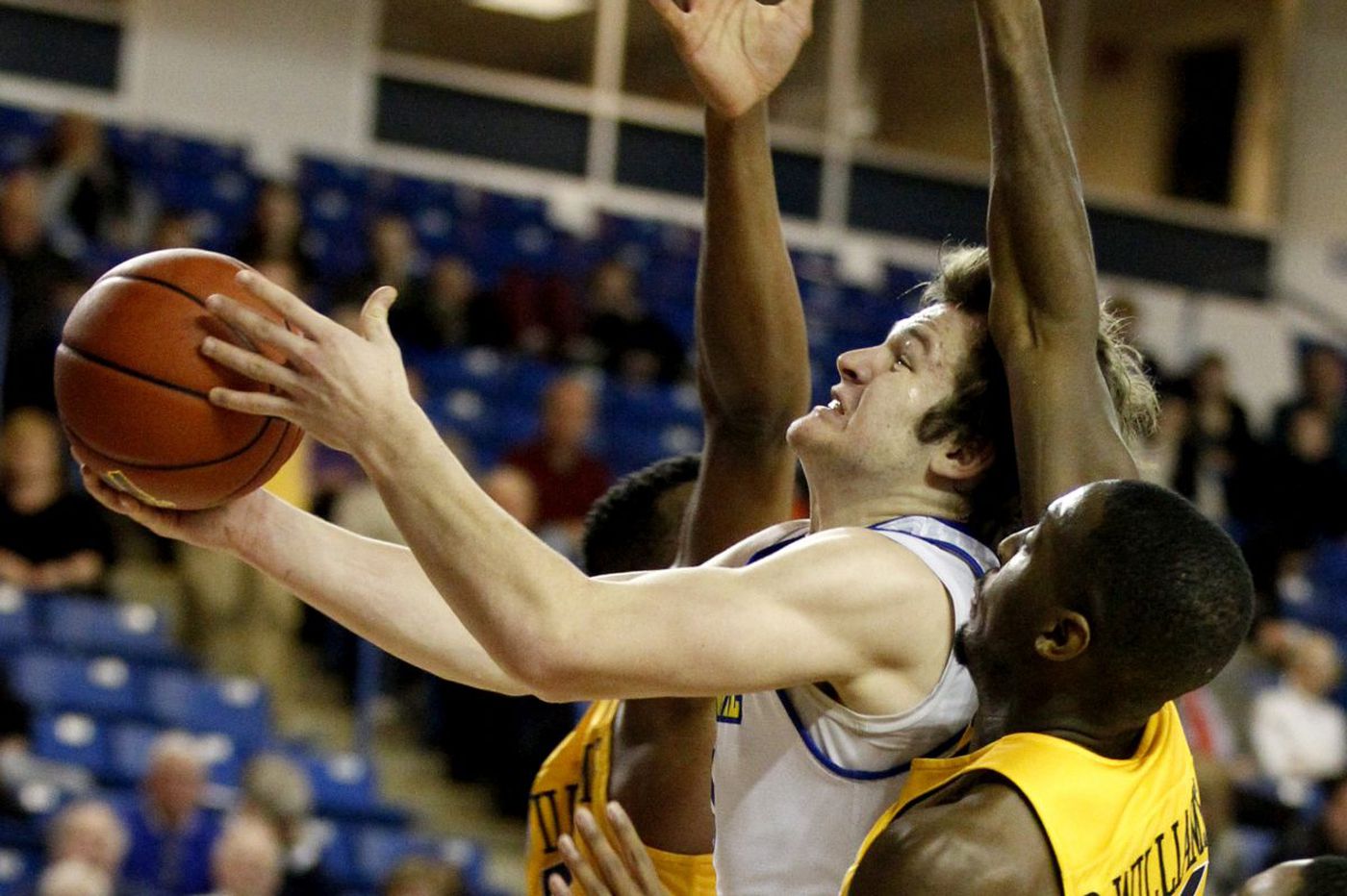 Envergure - Ryan Daly - Scouting reports & stats