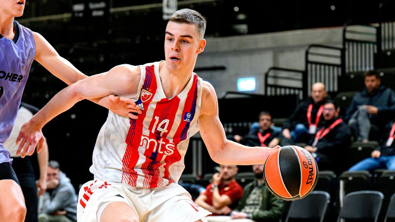 Envergure - Nikola Topic - Scouting reports & stats